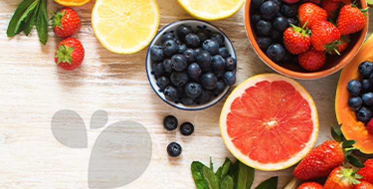 Elecare Recipes